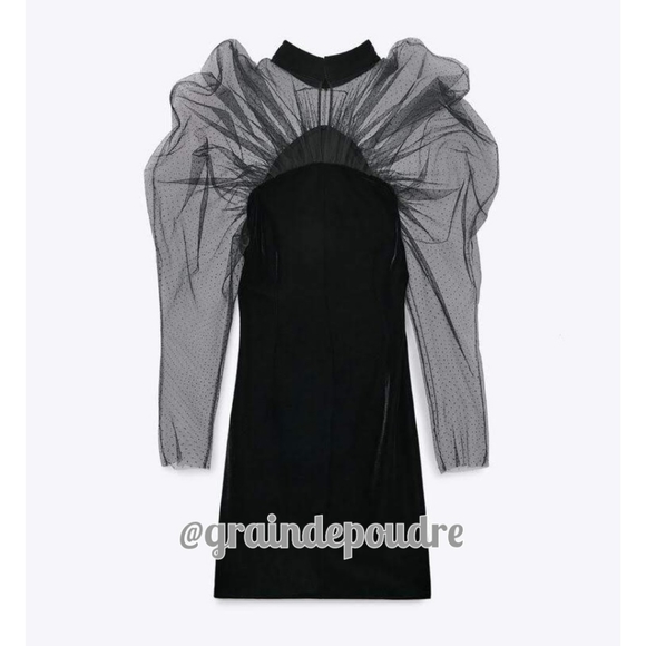 Zara | Dresses | Rare Zara Sheer Polka Dot Cage Bodice Black Velvet ...